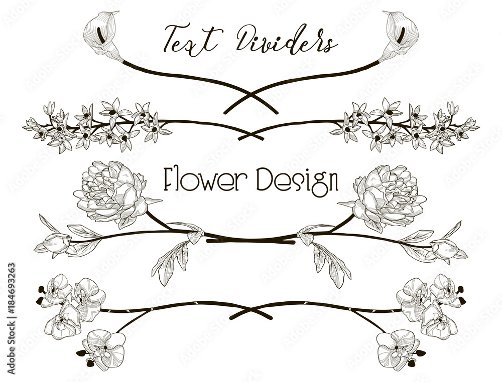 Vector Black Floral Text Dividers. Flower Design Elements Stock Vector ...
