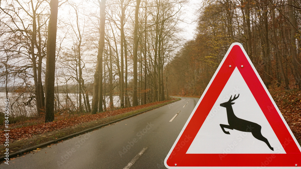 Straße mit Verkehrsschild Wildwechsel Stock Photo | Adobe Stock