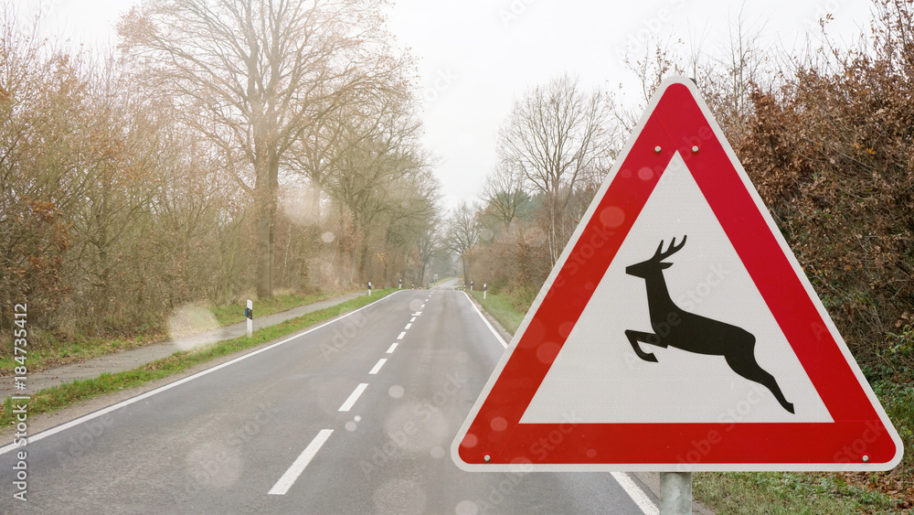 Straße mit Verkehrsschild Achtung Wildwechsel Stock Photo | Adobe Stock