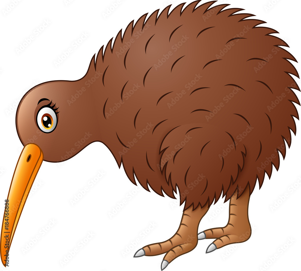 Cute kiwi bird cartoon Stock Vector | Adobe Stock