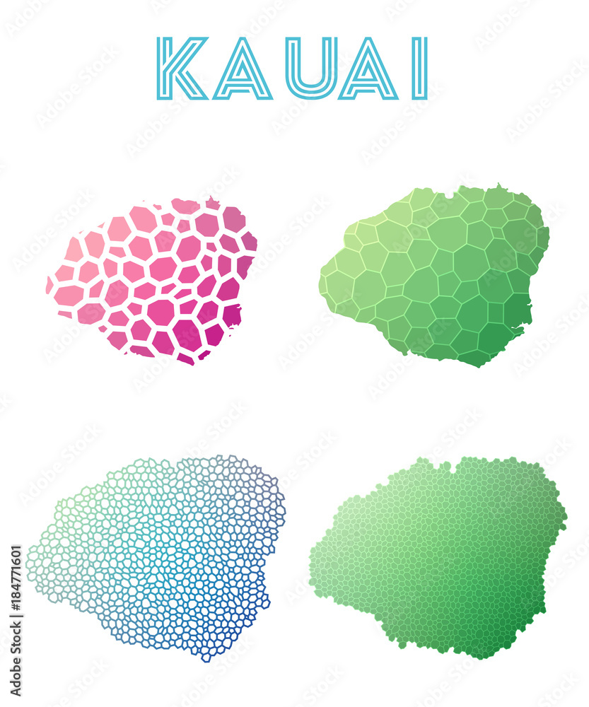 Kauai polygonal island map. Mosaic style maps collection. Bright ...