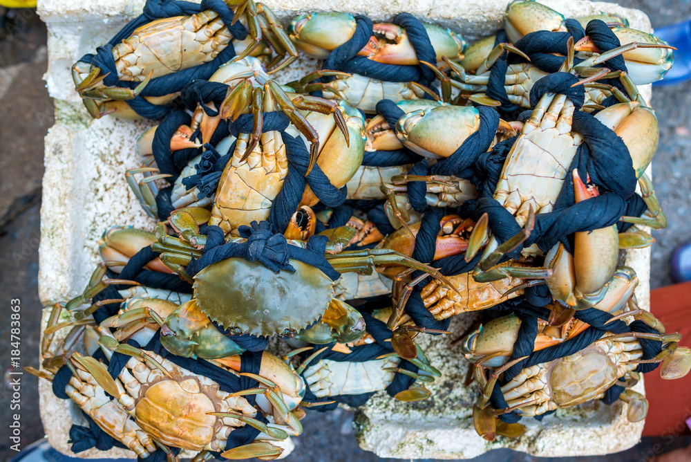 Giant mud crabs or Scylla Serrata are tied raw sea food at Asian street ...