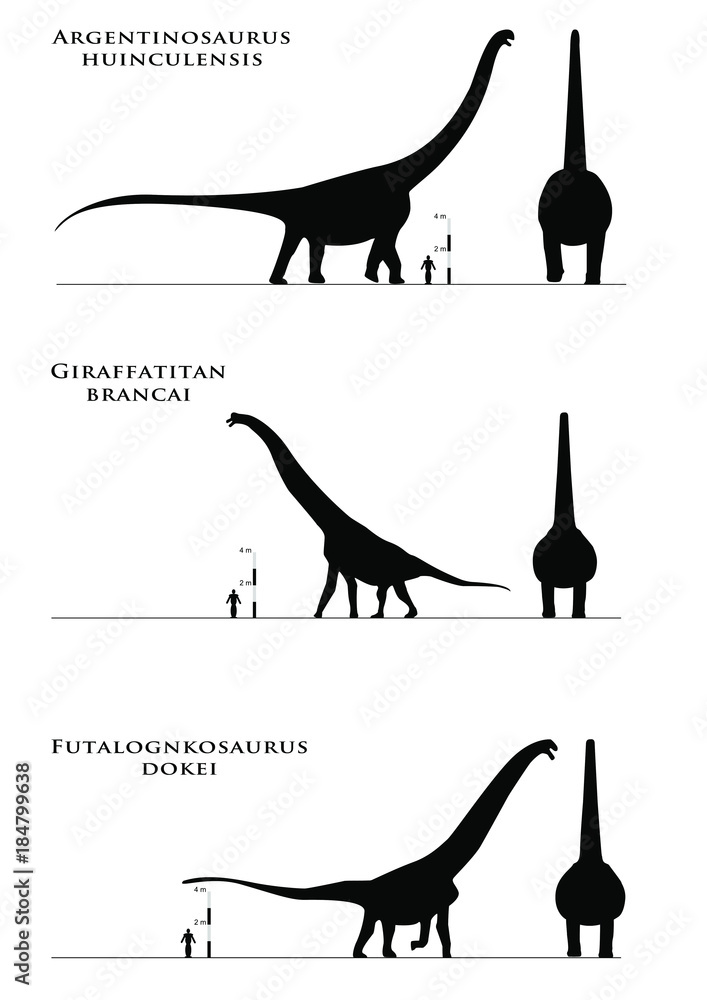dinosaurs compared to humans. paleontology Stock Vector | Adobe Stock