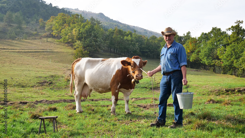 A farmer breeds and cows his cow in nature according to ancient ...