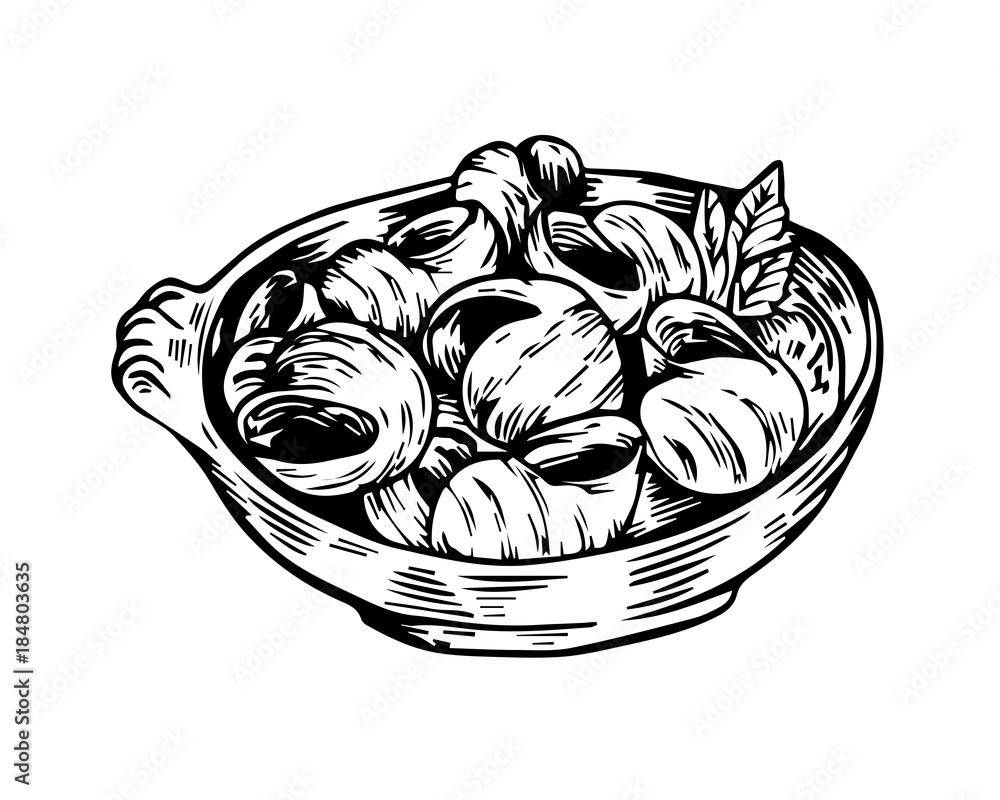 Isolated Detail Vintage Hand Drawing Food Sketch Illustration ...