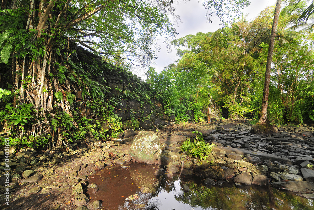 Leluh archaeological site on Lelu Island, Kosrae State of Micronesia ...
