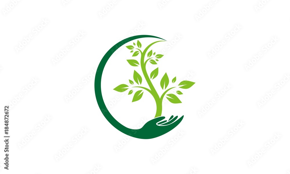 Tree In Hand Logo