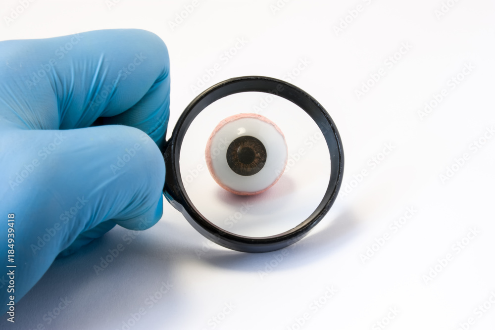 Diagnosis and detection of eye diseases pathologies associated with ...