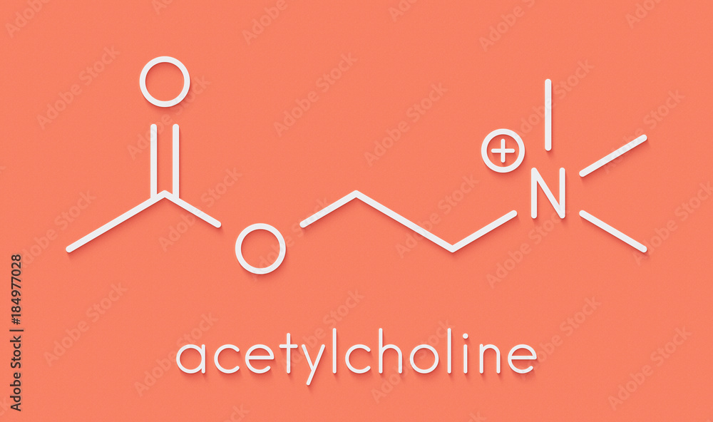Acetylchloline (ACh) neurotransmitter molecule. Skeletal formula. Stock ...