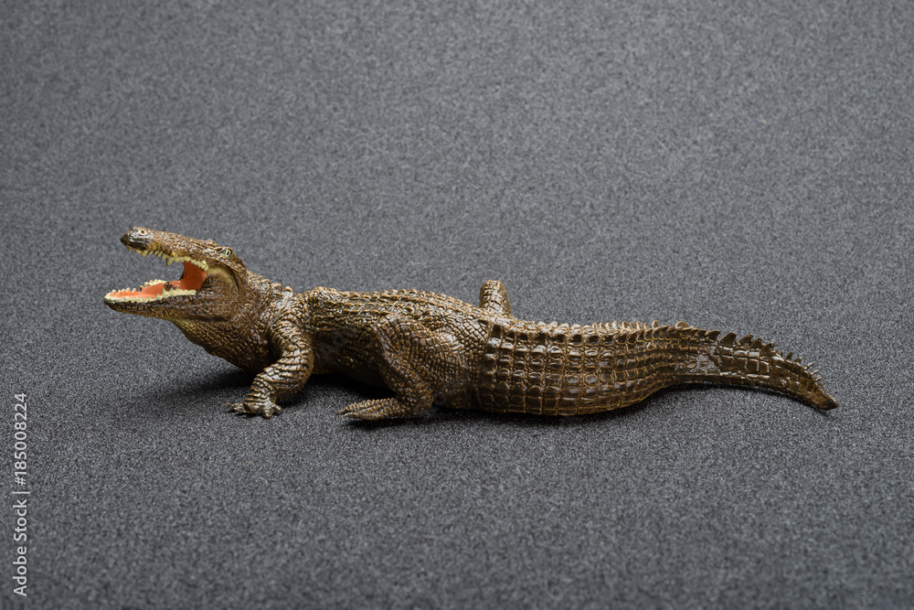 Alligator Side View