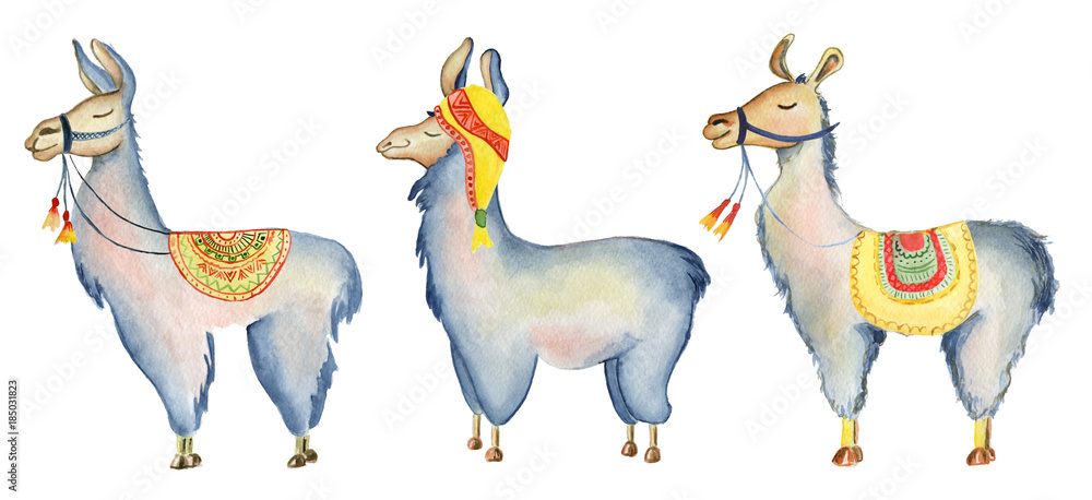 Cute Llama cartoon characters set watercolor illustration, Alpaca ...