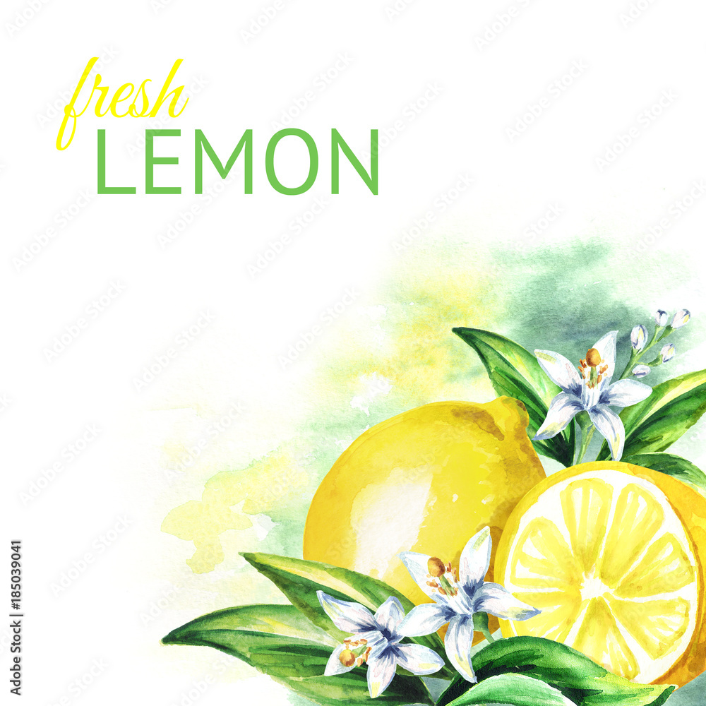 Lemon background. Watercolor hand drawn illustration Stock Illustration ...