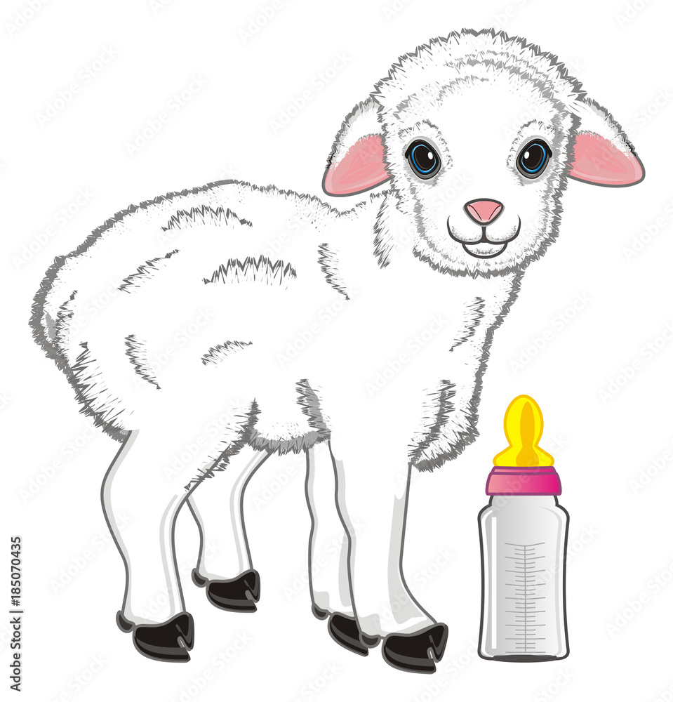 lamb, sheep, cub, baaah, animal, farm, small, curly, illustration ...