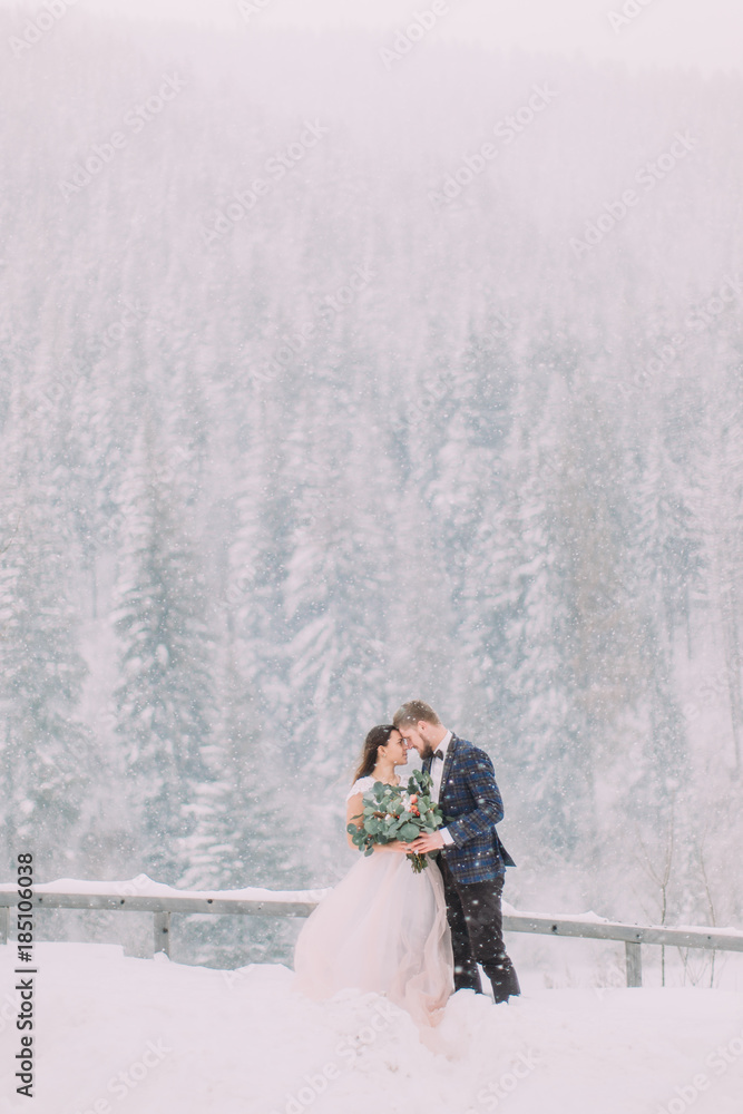 Beautiful Winter Love Pictures