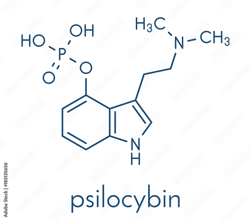 Psilocybin psychedelic mushroom molecule. Prodrug of psilocin. Skeletal ...
