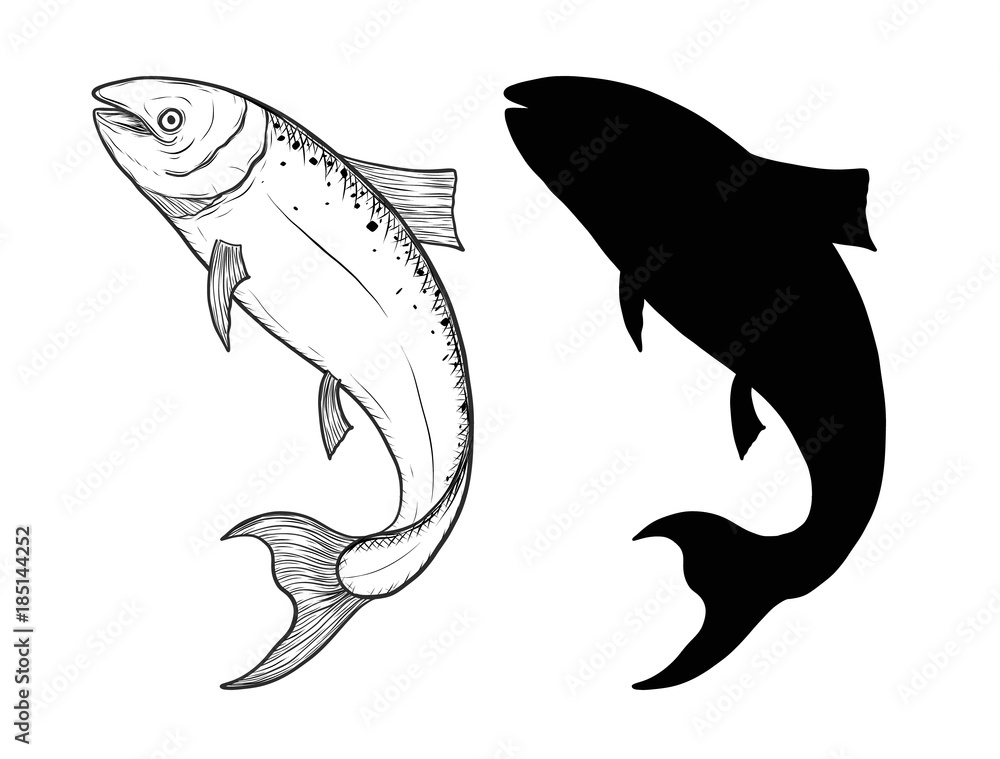 Vecteur Stock Salmon fish art highly detailed in line art style.Fish ...