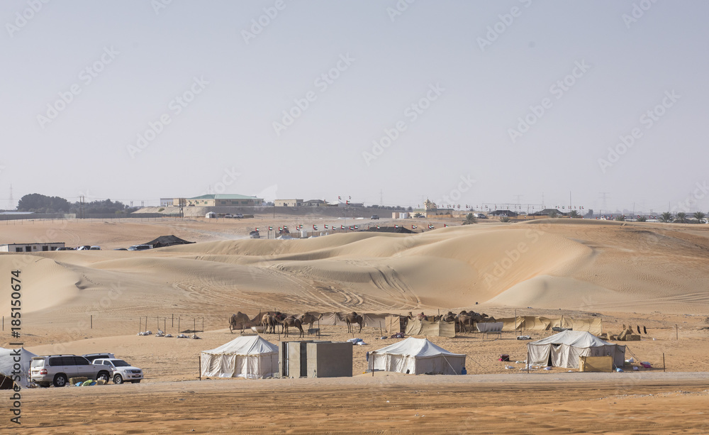 camps in the desert in Madinat Zayed near The Million Street where ...