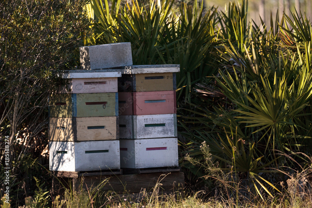 Stacks of langstroth bee hives with honeybees flying Stock Photo ...