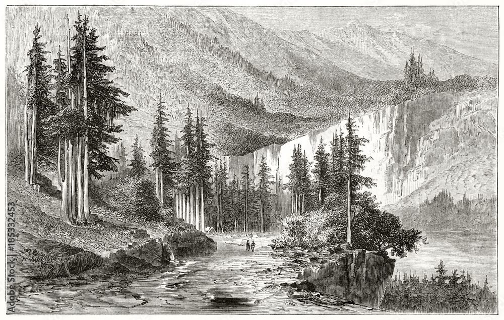 Dark Forest Path Drawing