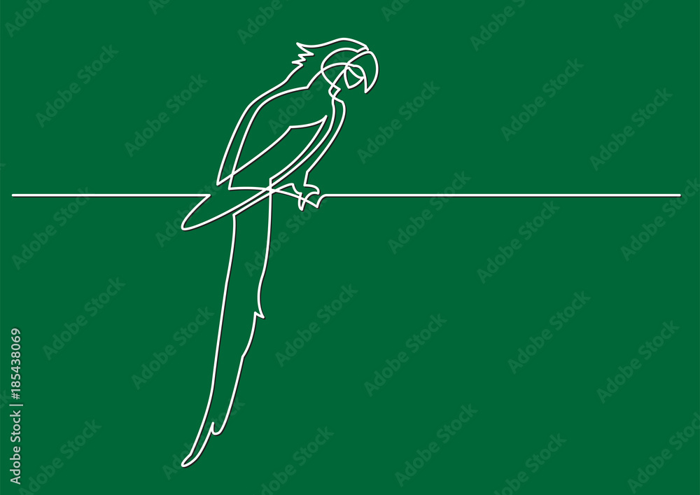 continuous line drawing of isolated vector object - parrot Stock Vector ...