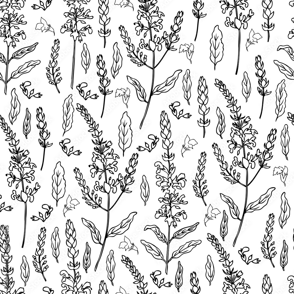 Seamless floral pattern Sage flower, bud, leaves vector isolated on ...