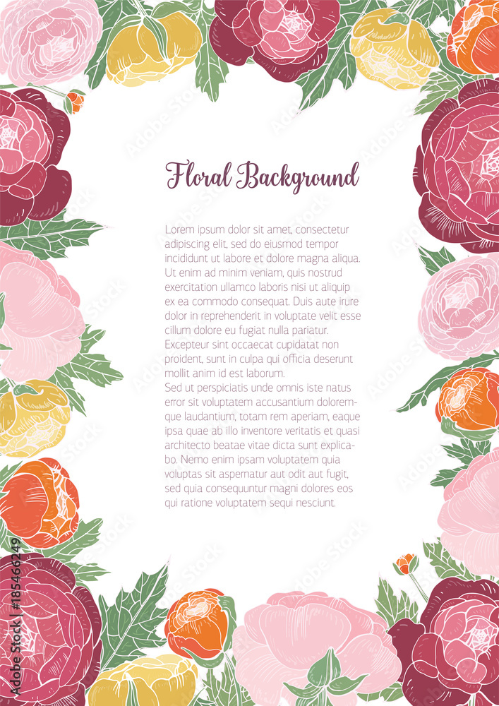 Gorgeous floral background with colorful blooming ranunculus and place ...