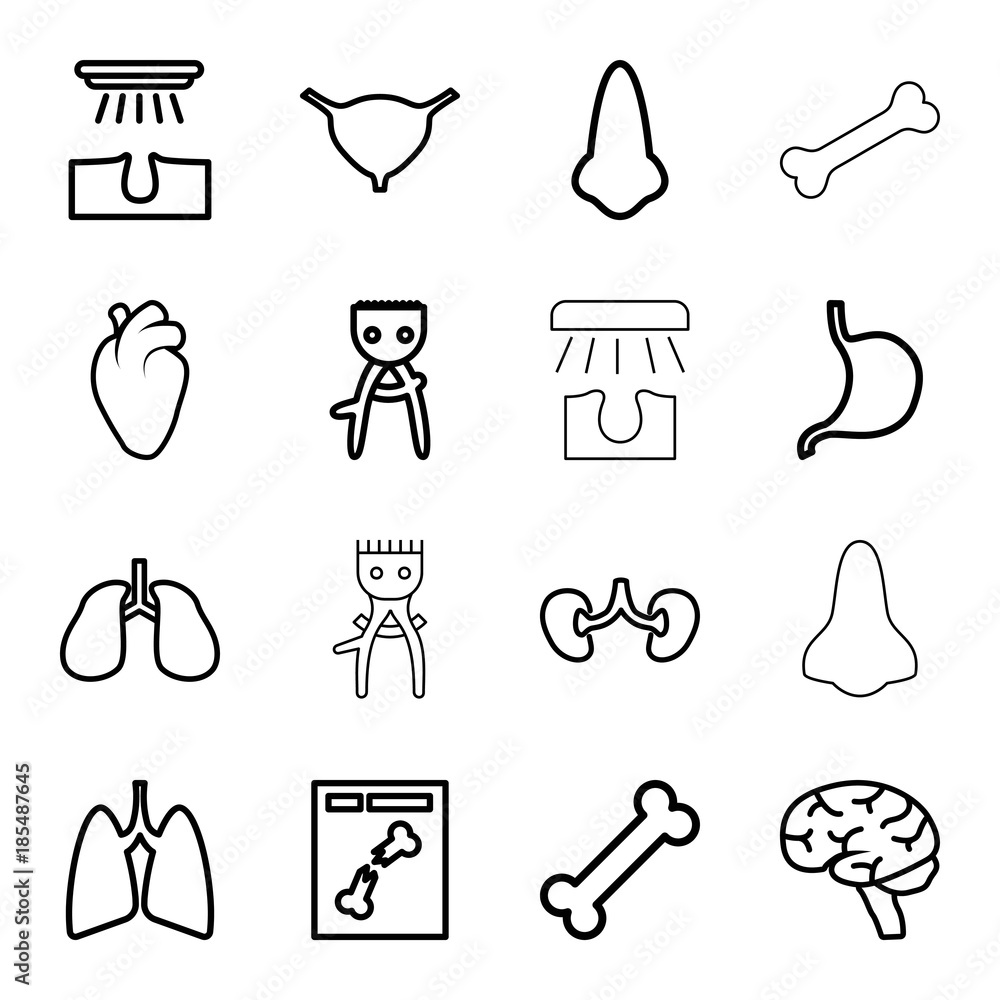 Anatomy icons. set of 16 editable outline anatomy icons Stock Vector ...
