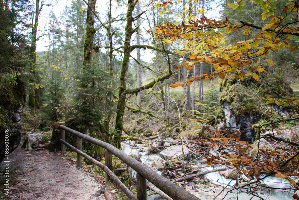 Wanderweg im Wald mit Bach im Herbst in den Alpen Stock Photo | Adobe Stock