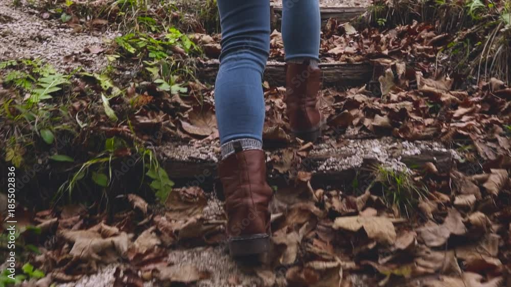 Feet walking upstairs on fall leaves in forest Stock Video | Adobe Stock