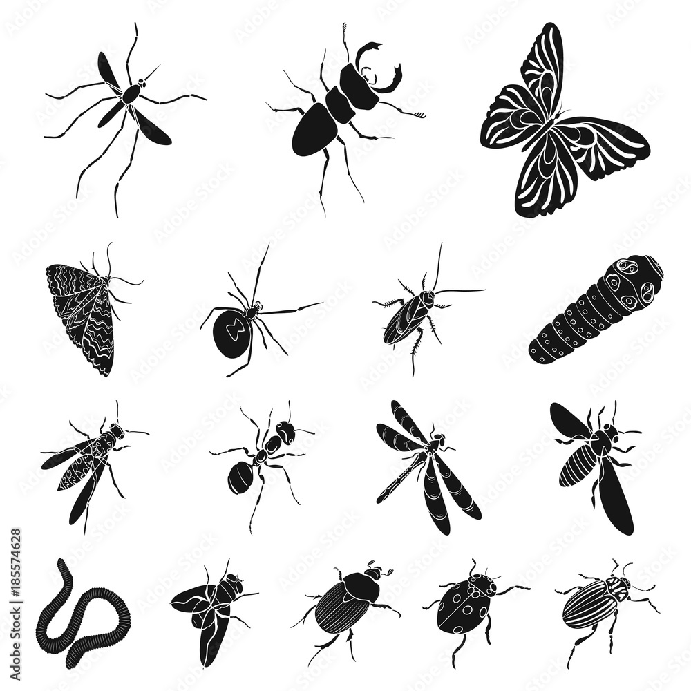 Different kinds of insects black icons in set collection for design ...