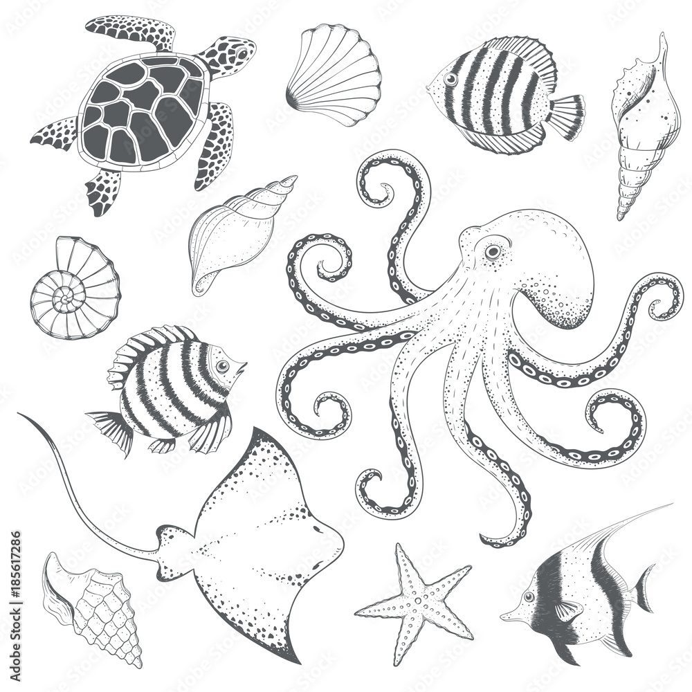 Ocean hand drawn set. Vector illustration. Stock Vector | Adobe Stock