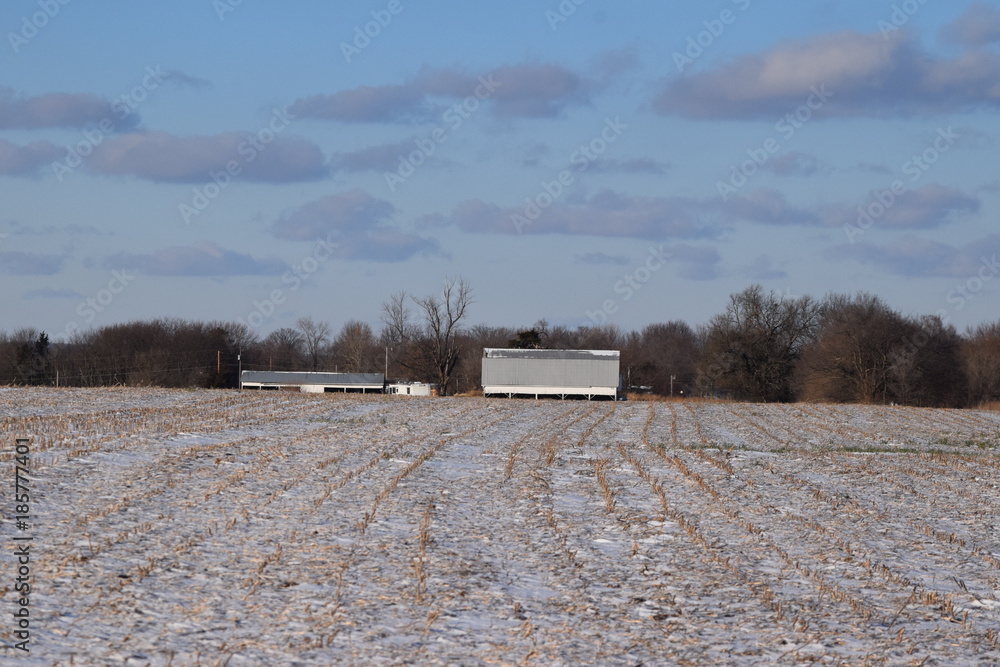Snowy Field Stock Photo | Adobe Stock
