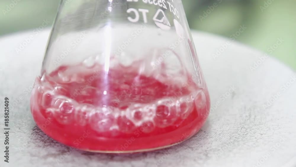 Red liquid is bubbling in a flask under laboratory conditions. Quality ...
