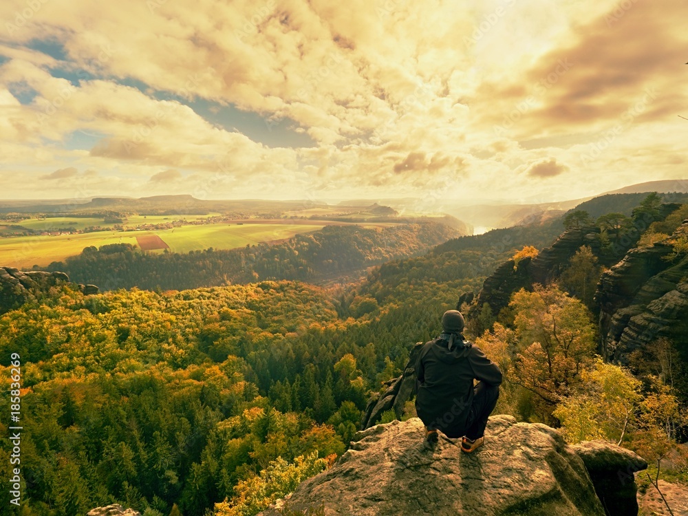 The thick fog is swinging between rocks and strip over high trees in ...