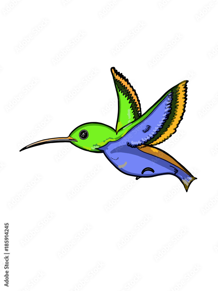 Hummingbird cartoon illustration drawing Stock Illustration | Adobe Stock