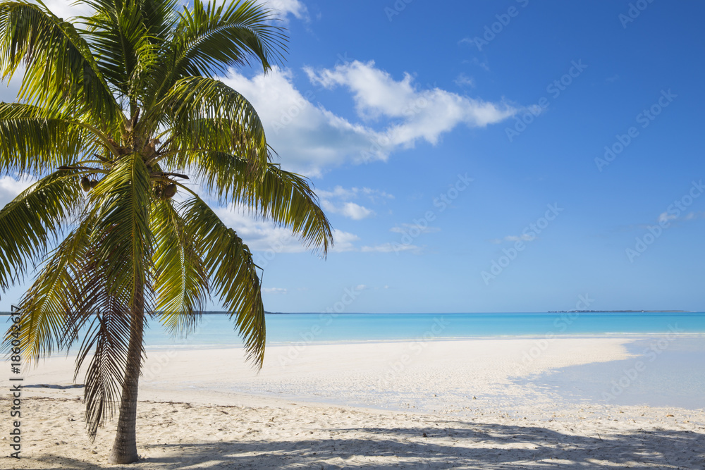 Beach at Treasure Cay, Great Abaco, Abaco Islands, Bahamas Stock Photo ...