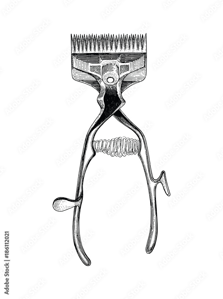 Vintage clipper hand drawing Stock Vector | Adobe Stock