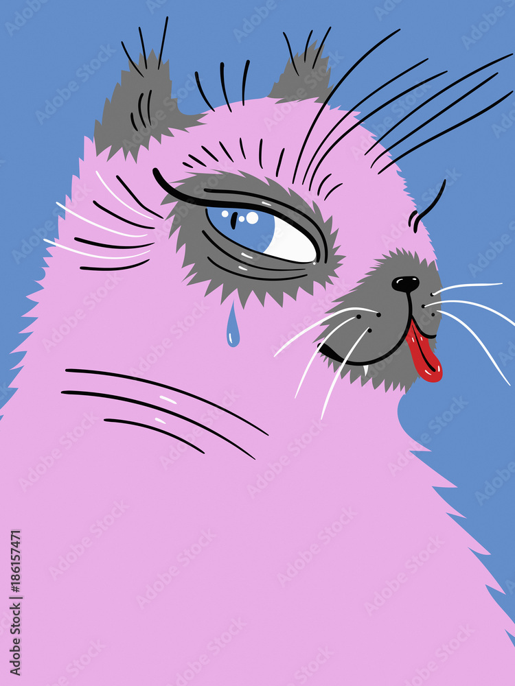 Cat wink Stock-Illustration | Adobe Stock