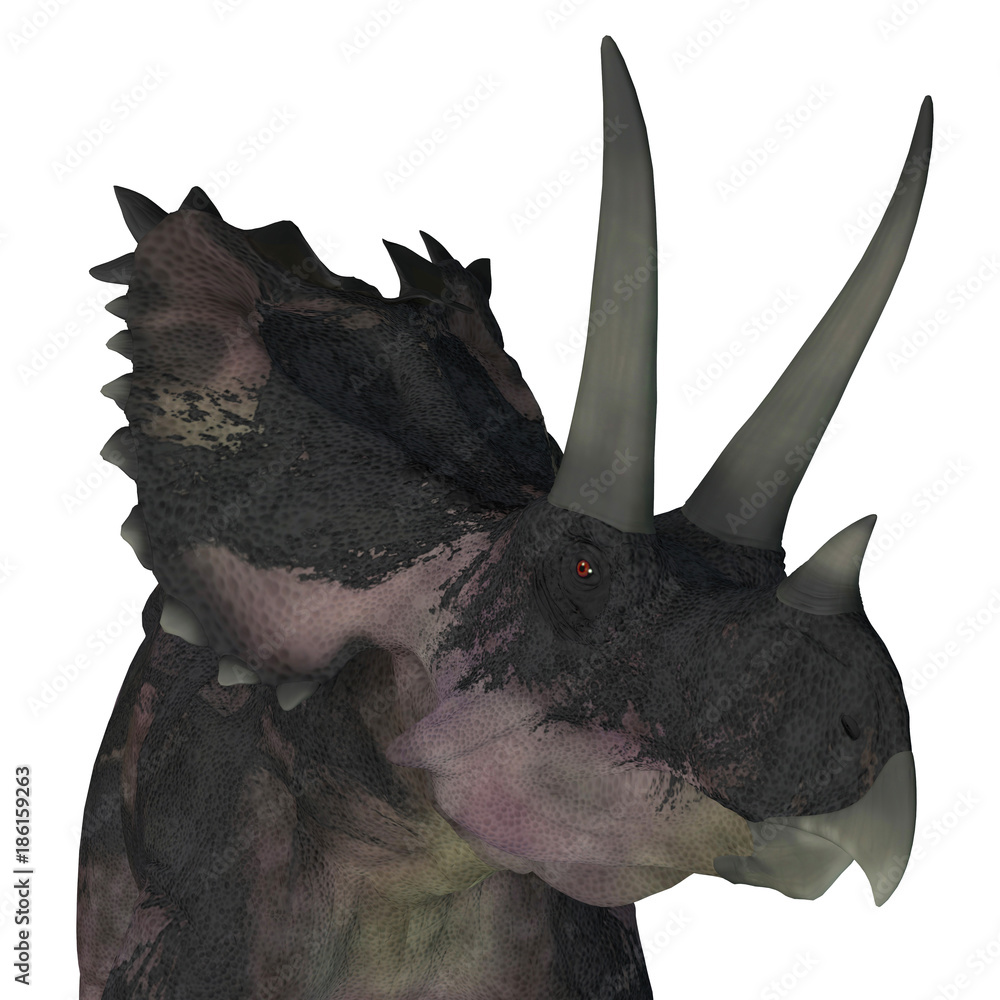 Plakát Agujaceratops Dinosaur Head - Agujaceratops was a herbivorous ...