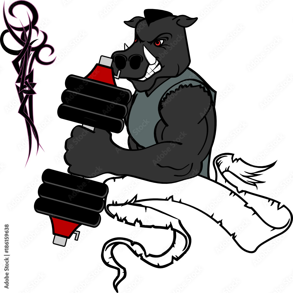muscle wild pig cartoon fitness weight training gym in vector format ...