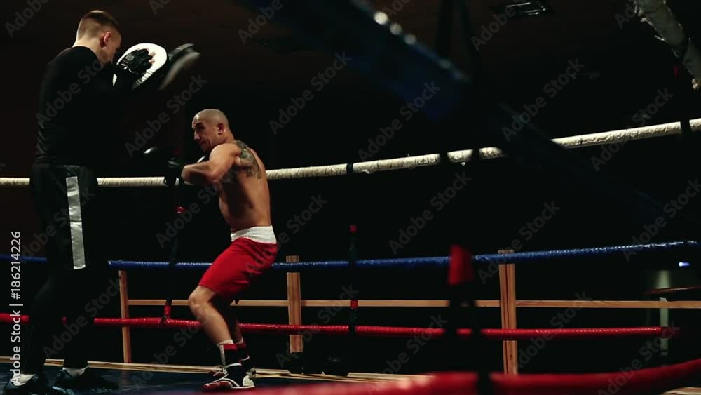 The boxer performs punches on the paws. Boxing training in the ring ...