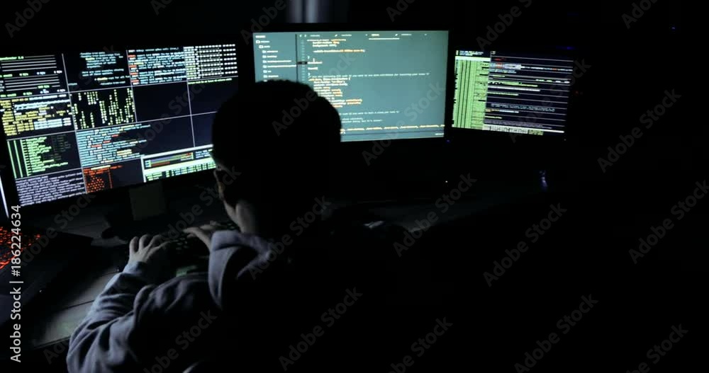 Young Hacker Breaks into Corporate Data Servers from His Underground ...