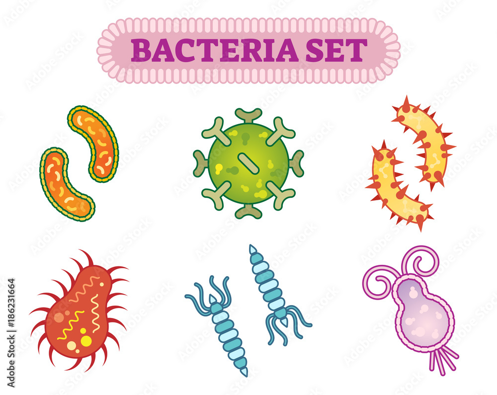 Bacteria microorganism vector illustration set with various shapes ...