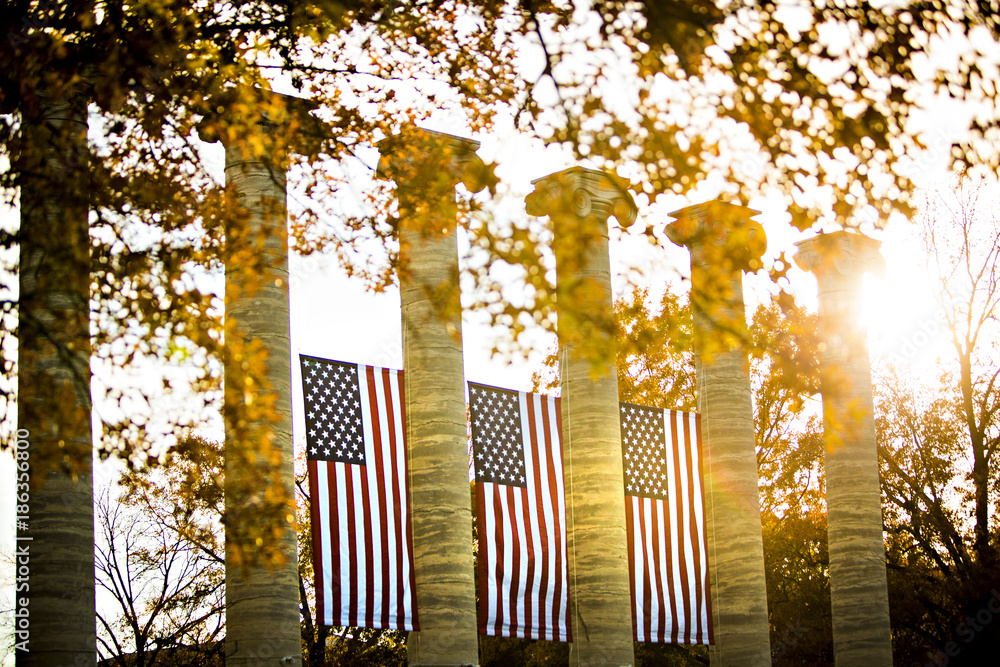 Fotka „The famous Columns on the MU Campus are decorated with American ...