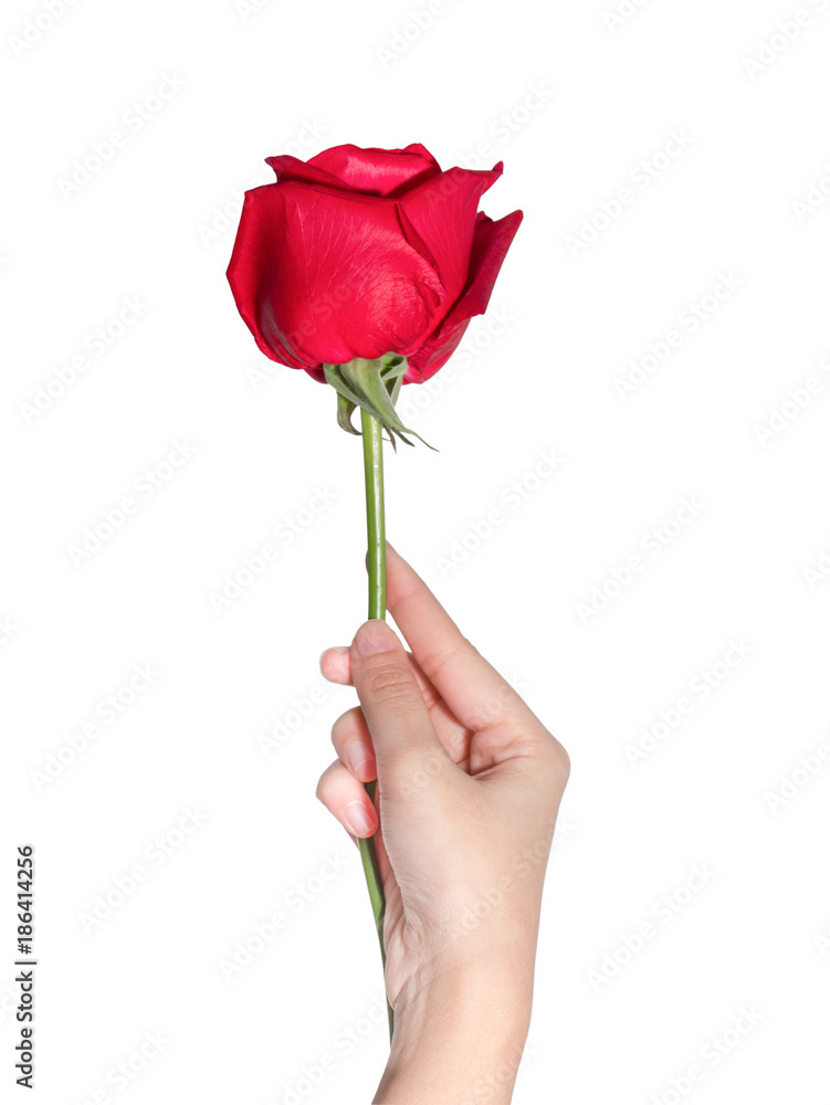 Womans Hand Holding Flower