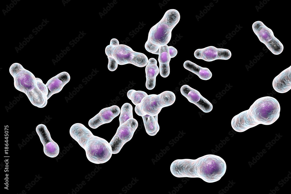 Clostridium difficile bacteria, 3D illustration. Spore-forming bacteria ...
