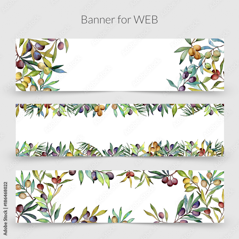 Olive tree frame in a watercolor style. Full name of the plant ...