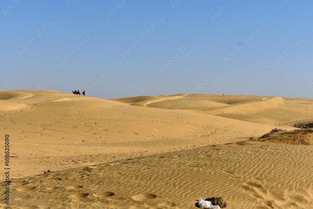 sam sand dunes in thar desert jaisalmer rajasthan india Stock Photo ...