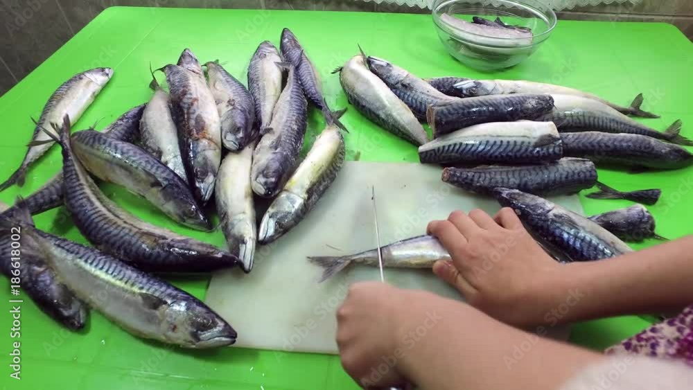 Cutting fish. Cuts the tail of a fish. A lot of frozen fish. Mackerel ...