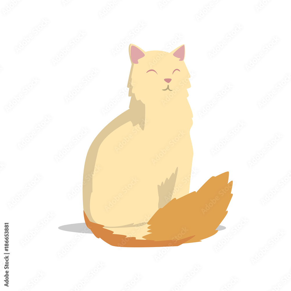 Long-haired turkish angora cat with pink ears and fluffy red tail ...